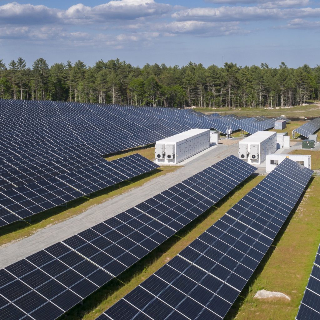 Blog Archives - Home Page - Anza