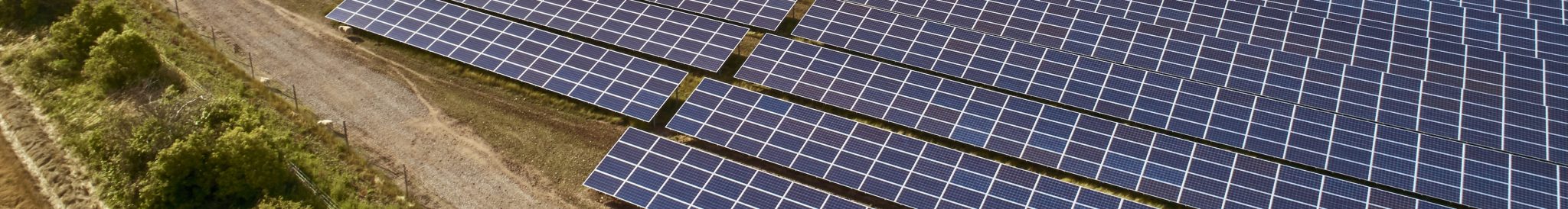 Market-Wide Intel and Workflows to Improve Solar Project Results
